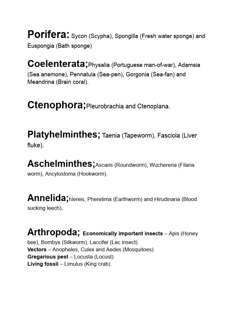 Overview of Animal Phyla and Species | PDF