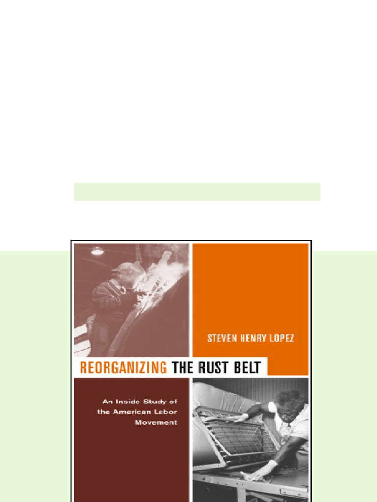 (Ebook) Reorganizing the Rust Belt: An Inside Study of the American ...
