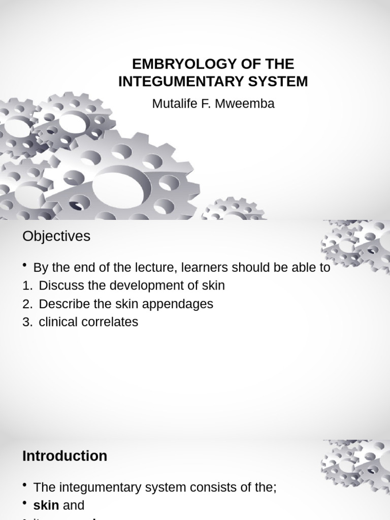 Embryology of The Integumentary System | PDF | Skin | Nail (Anatomy)
