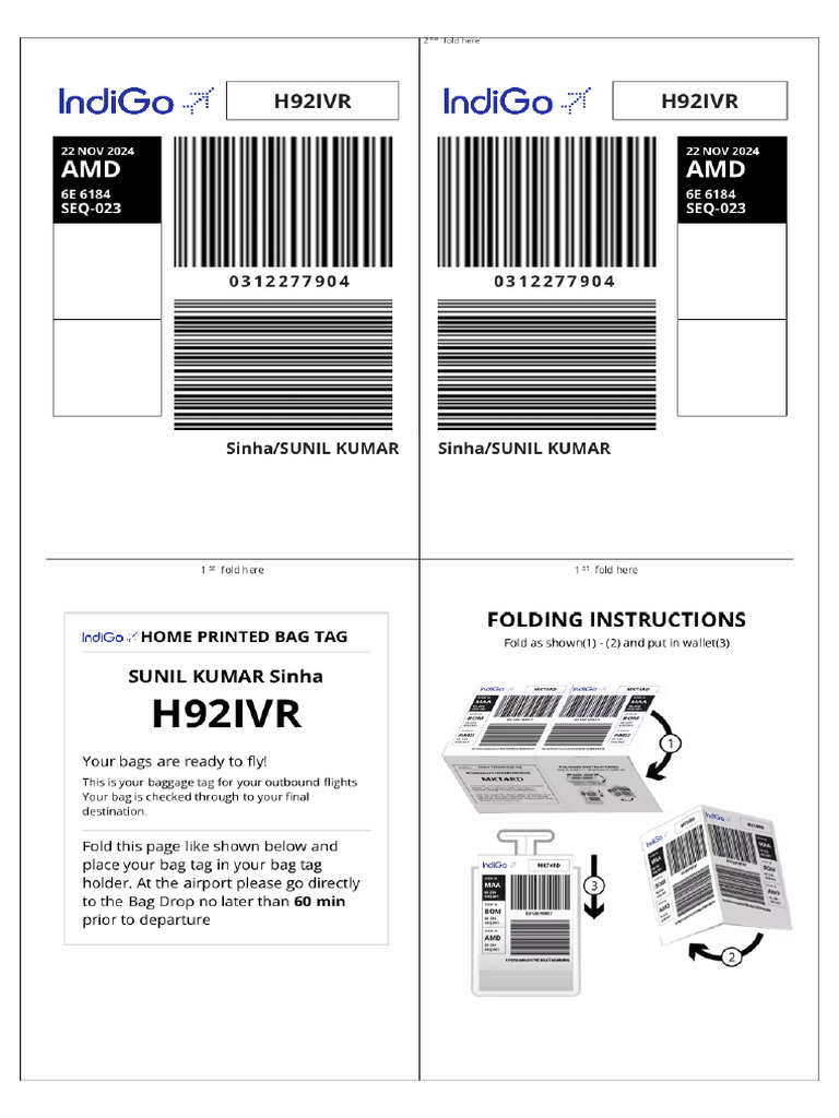 Baggage Tag | PDF