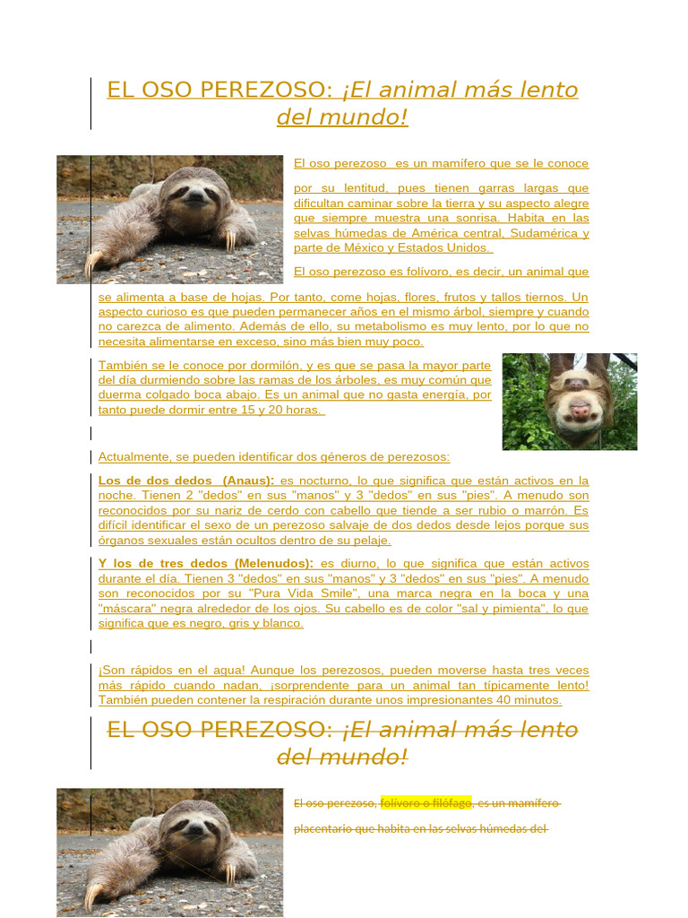 VERSION FINAL OSO PEREZOSO | PDF | Osos | Selva