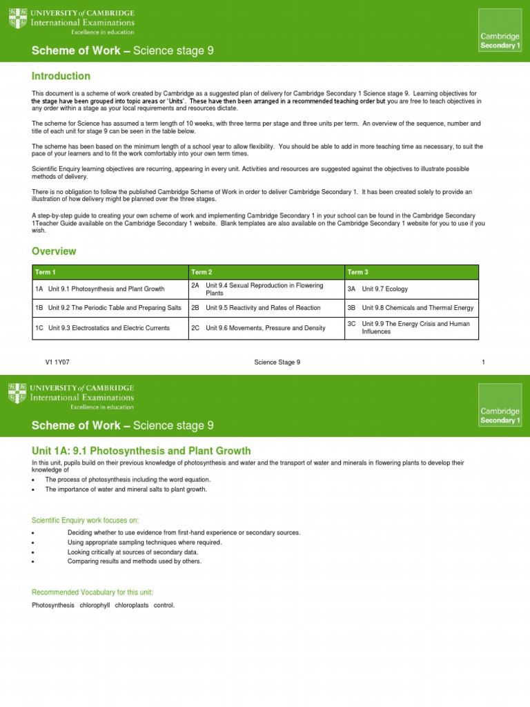 Scheme of Work Science Stage 9.v1 | PDF | Food Web | Flowers