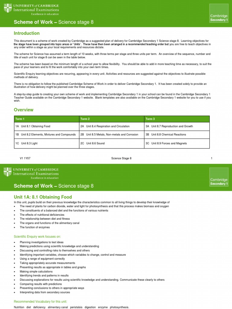 Scheme of Work Science Stage 8.v1 | PDF | Gases | Sound