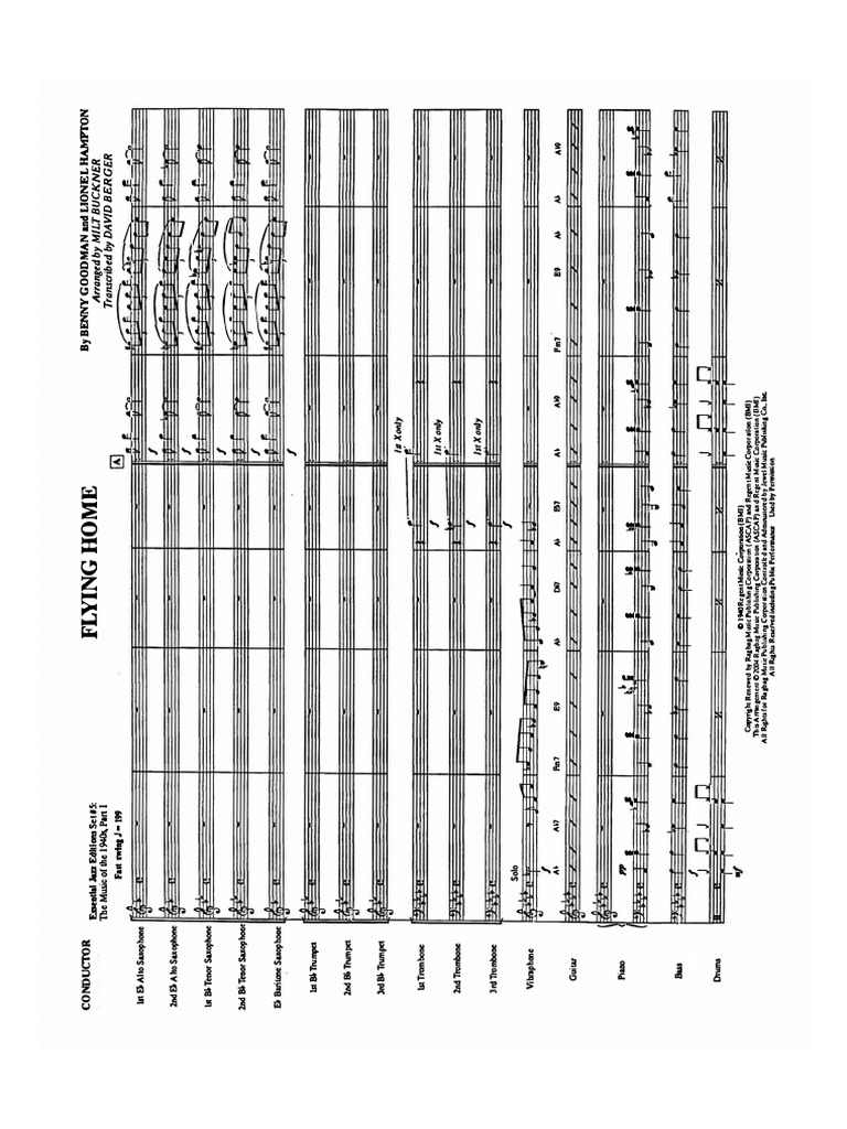 12.Flying Home | PDF