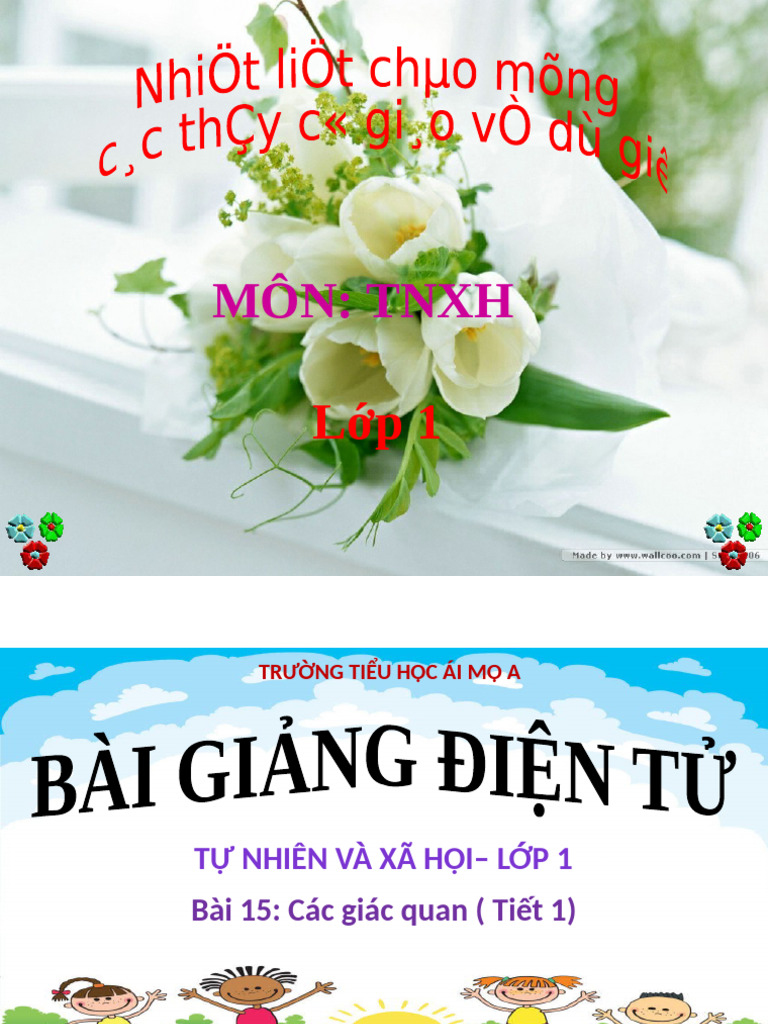 bai-15-cac-giac-quan-t1_31032021 | PDF