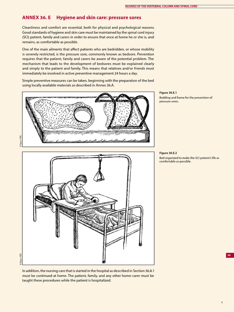 5_Annex 36E | PDF | Wound | Medical Specialties