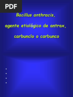 Bacillus anthracis: Características y Control | PDF | Ántrax | Bacilo
