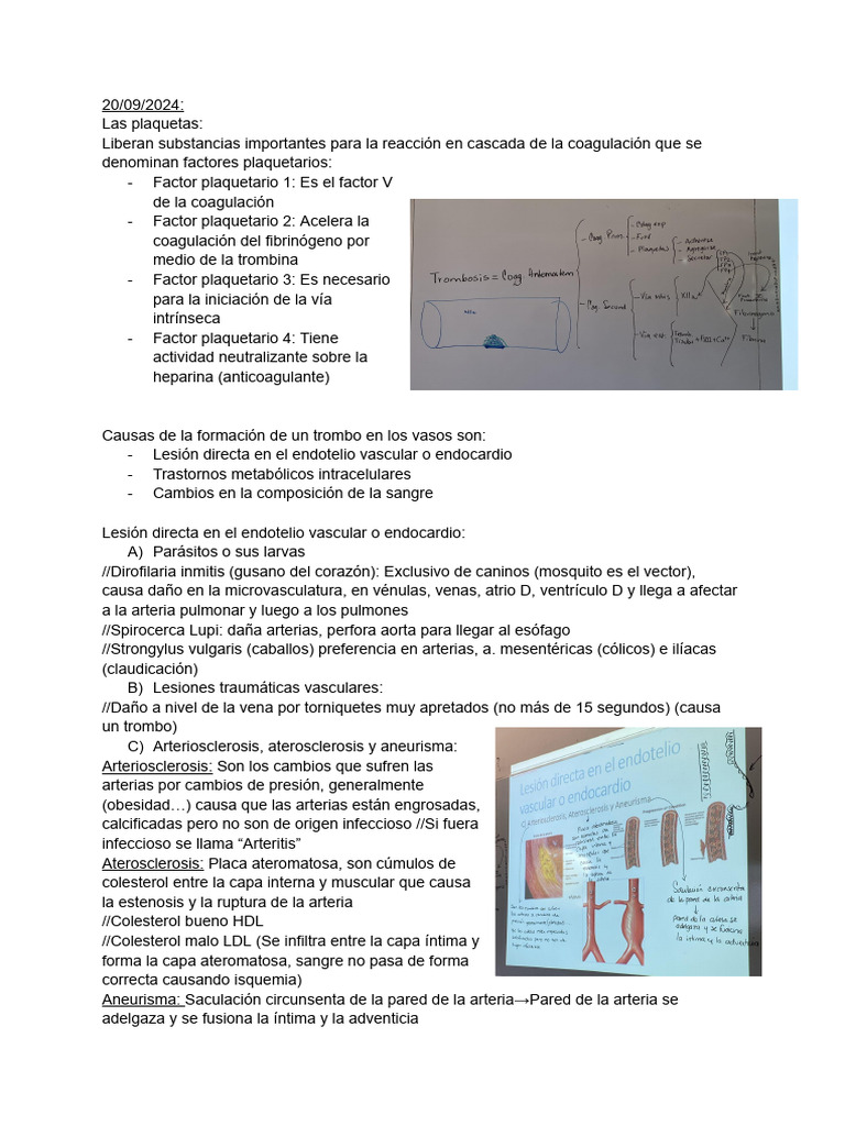 Patología Segundo Parcial | PDF | Trombo | Embolia