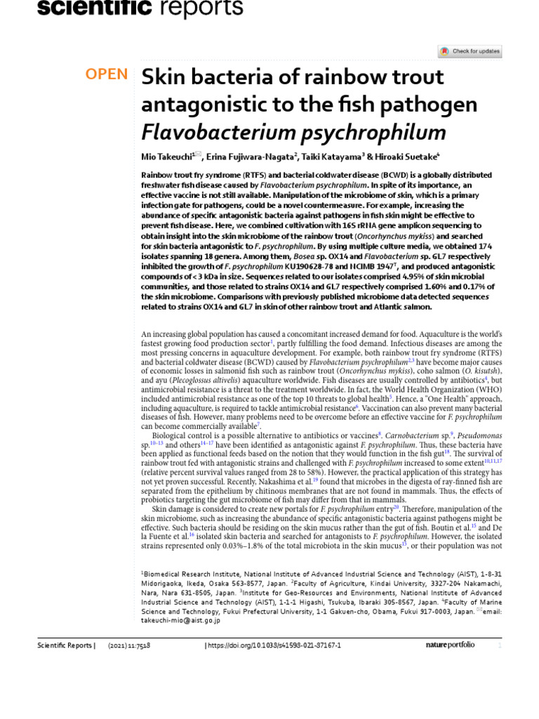 Skin Bacteria of Rainbow Trout Antagonistic to the Fish Pathogen ...