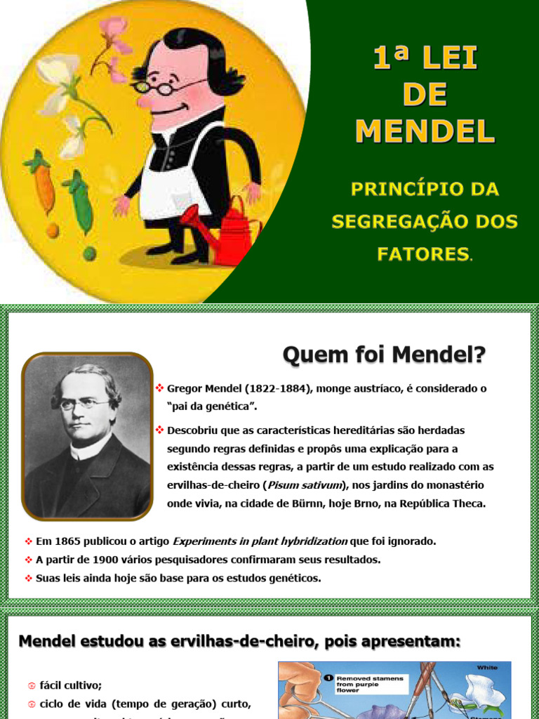 1ª LEI DE MENDEL | PDF | Alelo | Dominância (genética)