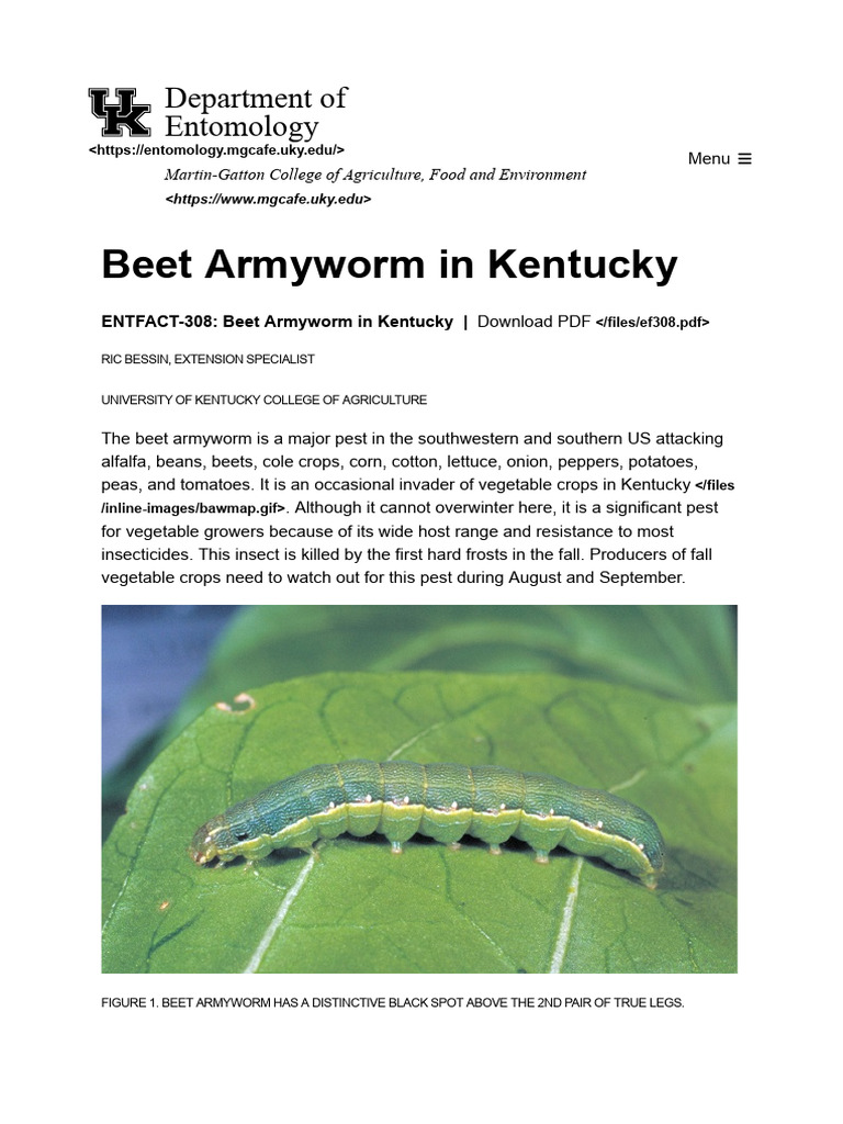 Beet Armyworm Management in Kentucky | PDF | Insecticide | Insects