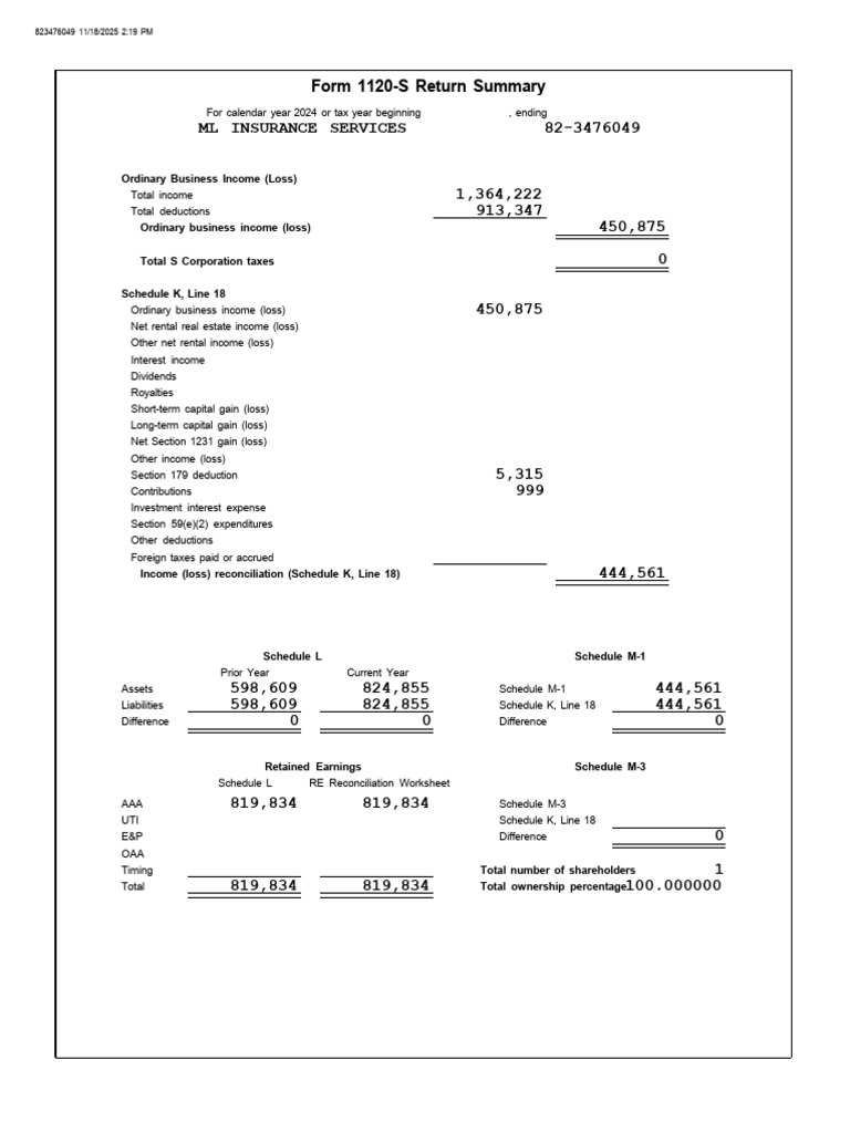 Tax Return | PDF | S Corporation | Irs Tax Forms