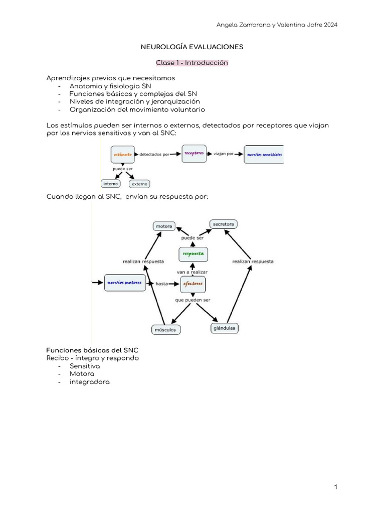 Resumito Neuro Evaluaciones | PDF | Ganglios basales | Neurona motora