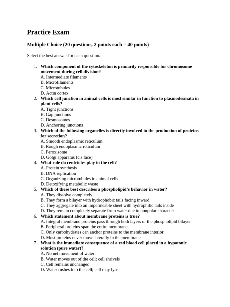 Bio202 Practice Exam | PDF | Cellular Respiration | Adenosine Triphosphate
