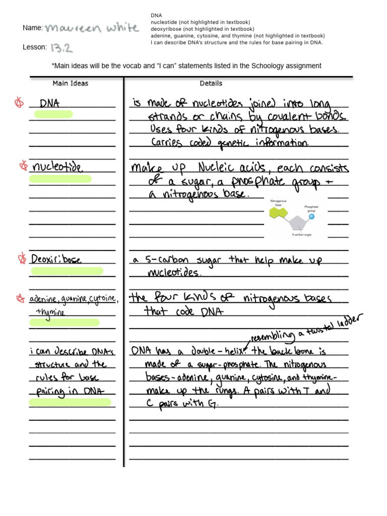 Two Column Notes Template | PDF