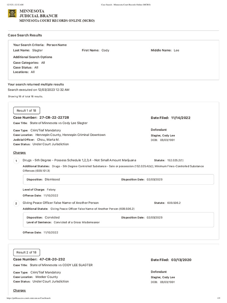 Minnesota Court Records: Cody Slagter | PDF | Felony | Misdemeanor