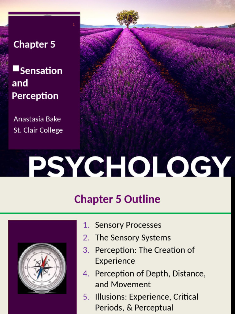 Passer7ce_PPT_Ch05 | PDF | Senses | Perception