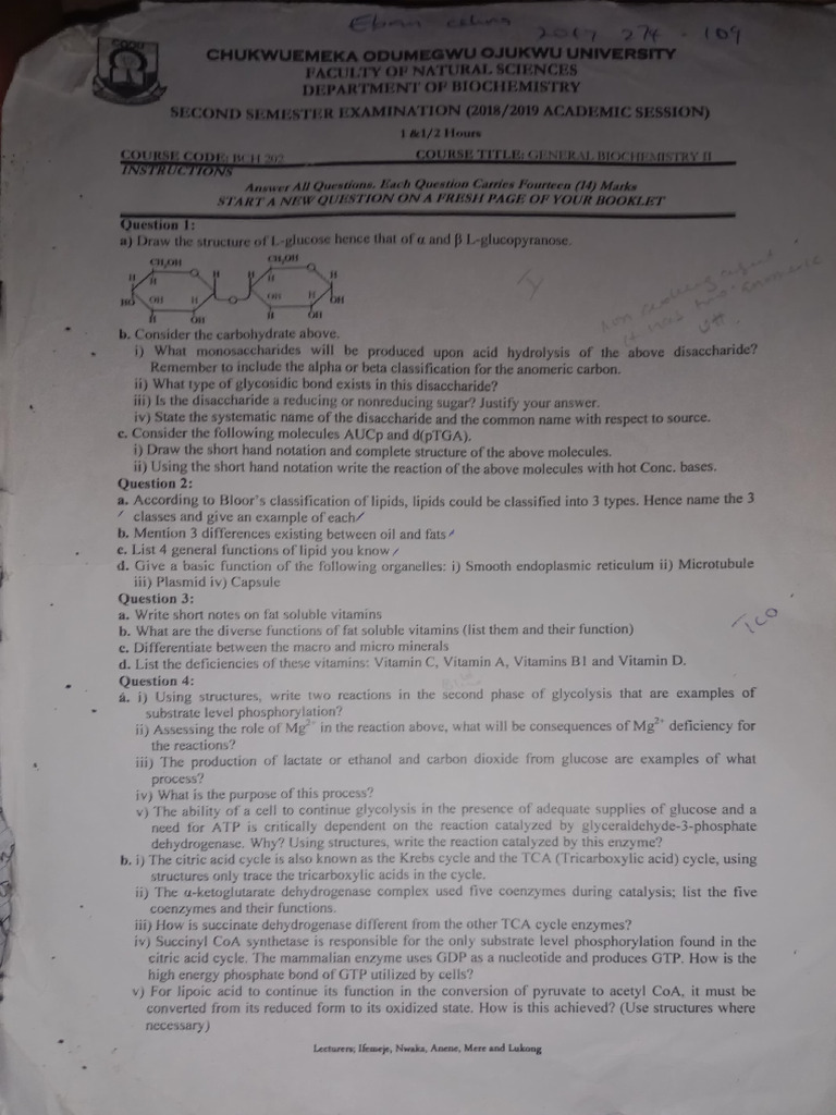 Biochemistry Exam Questions and Answers | PDF | Citric Acid Cycle ...