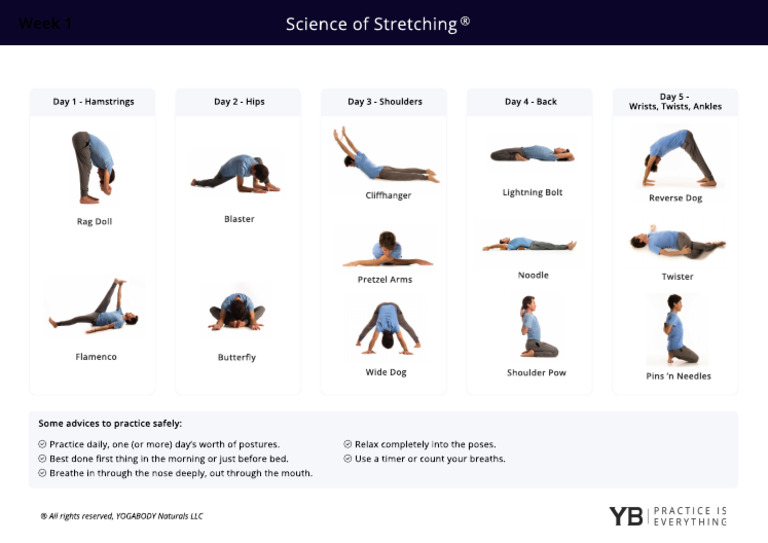 Daily Stretching Routine Guide | PDF