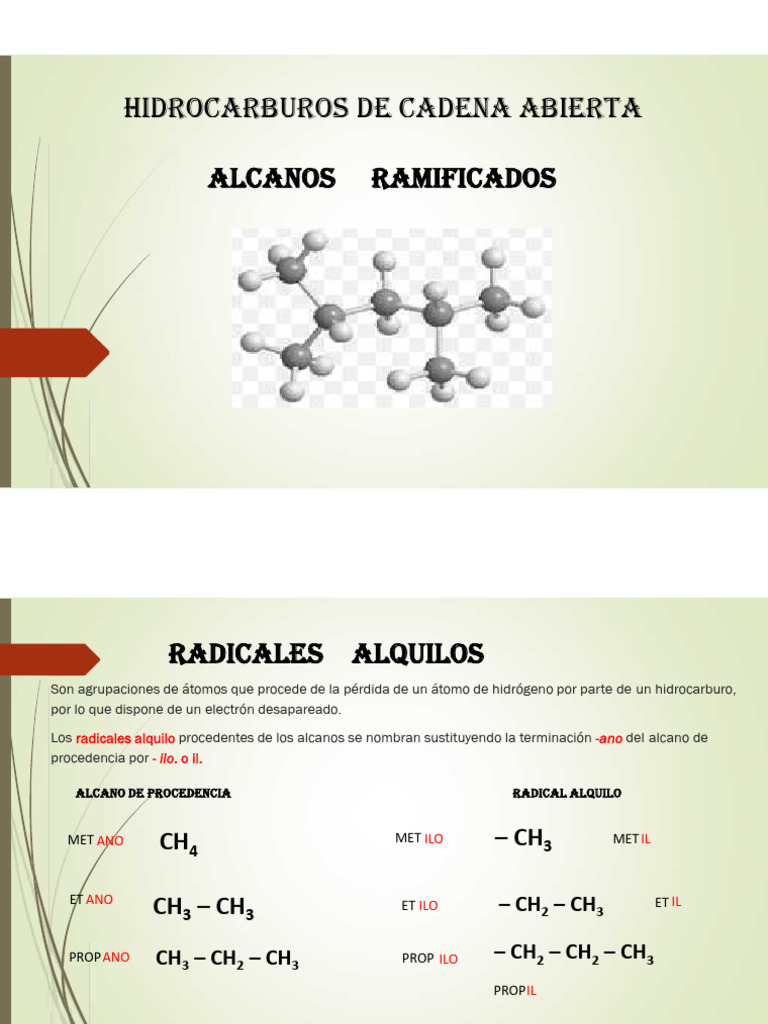 Nomenclatura de Alcanos y Radicales Alquilos | PDF