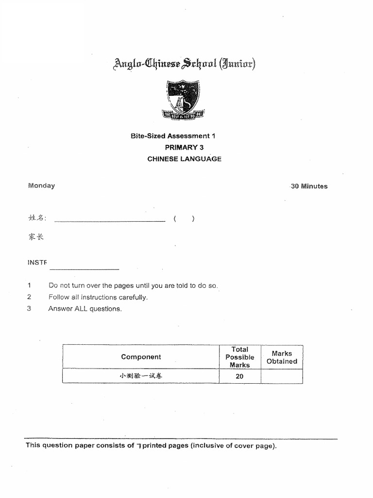 2024 P3 Chinese Bite Sized Assessment ACS (J) | PDF