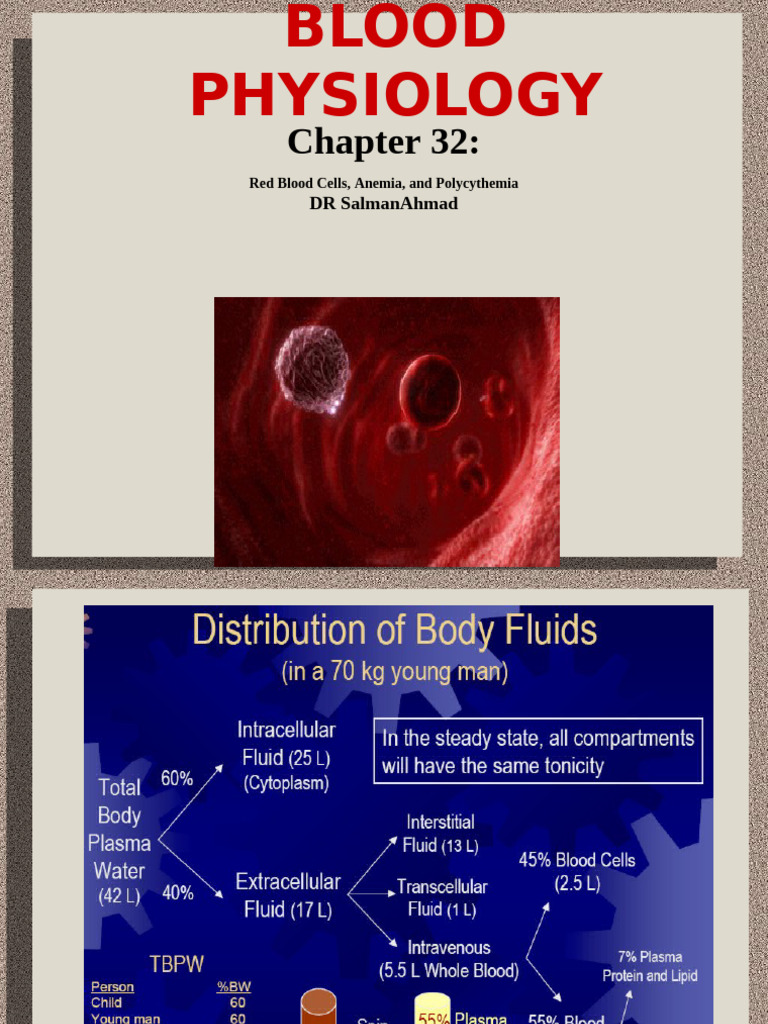 Blood Physiology Ch 33 | PDF | Blood | Blood Plasma