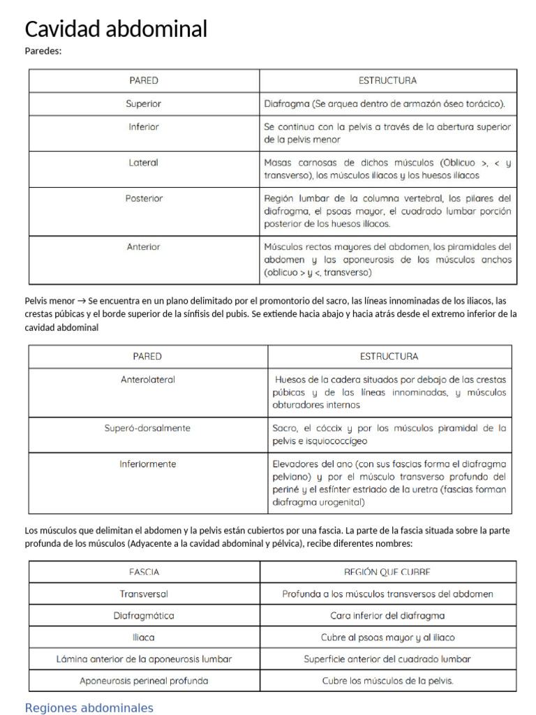 TP 20 Abdomen Region Supramesocolica | PDF | Abdomen | Estómago