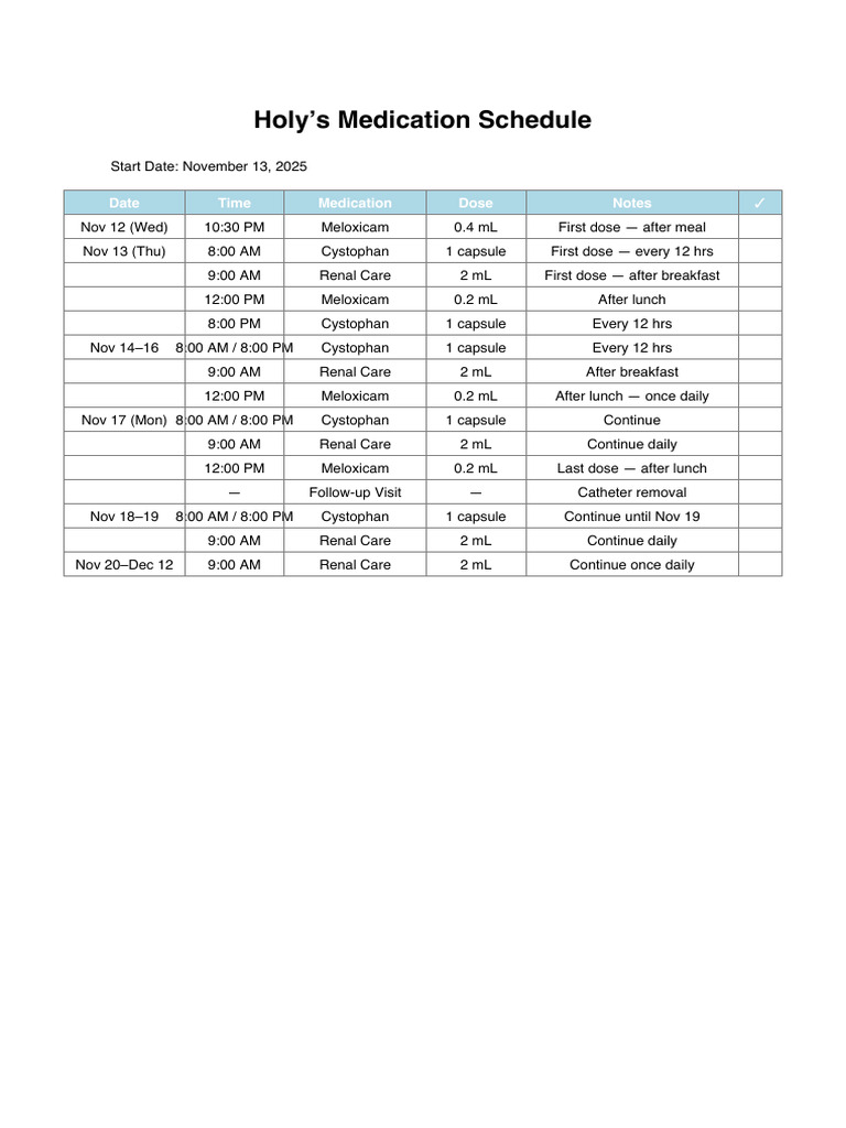 Holy's Medication Schedule Overview | PDF