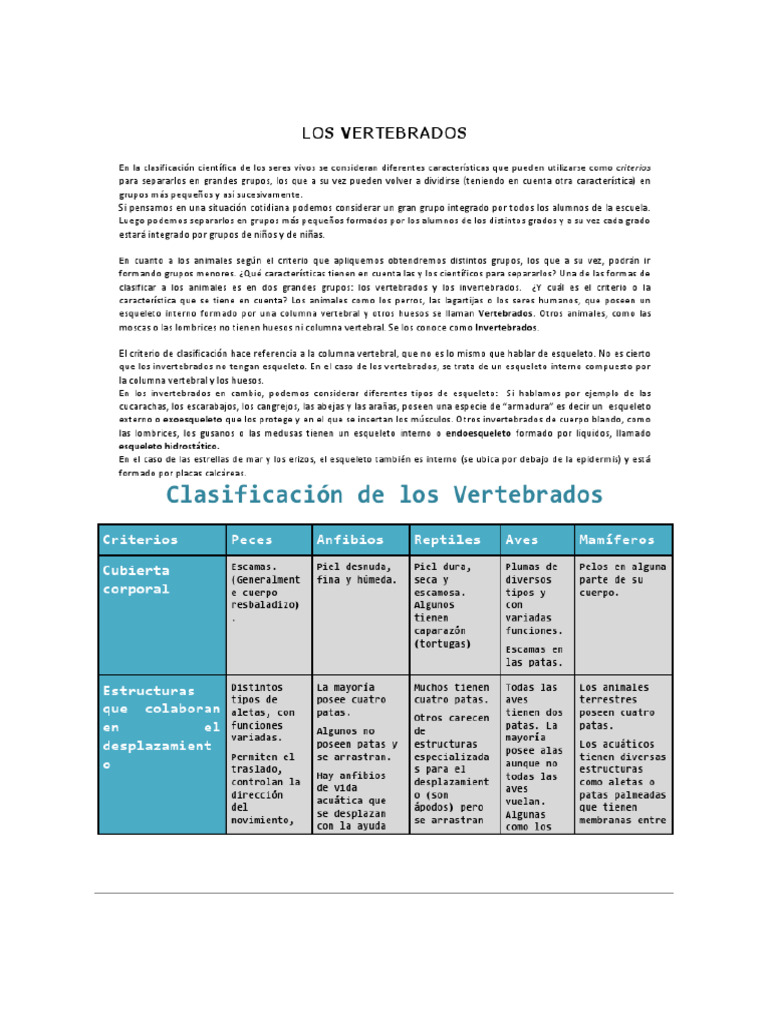 Clasificación de Vertebrados y Invertebrados | PDF | Esqueleto | Huevo