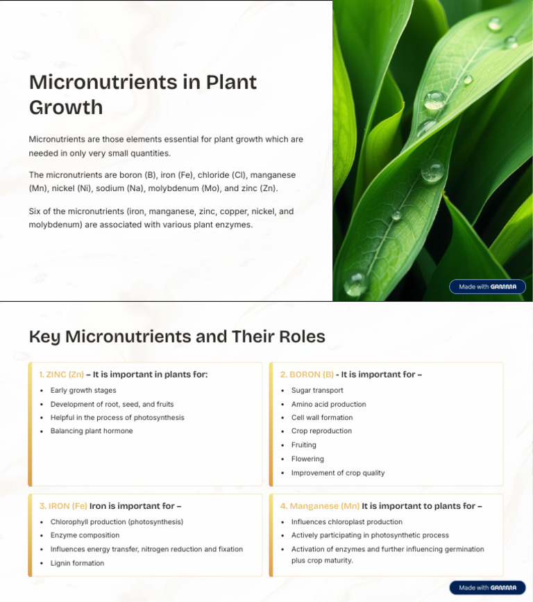 Micronutrients in Plant Growth | PDF