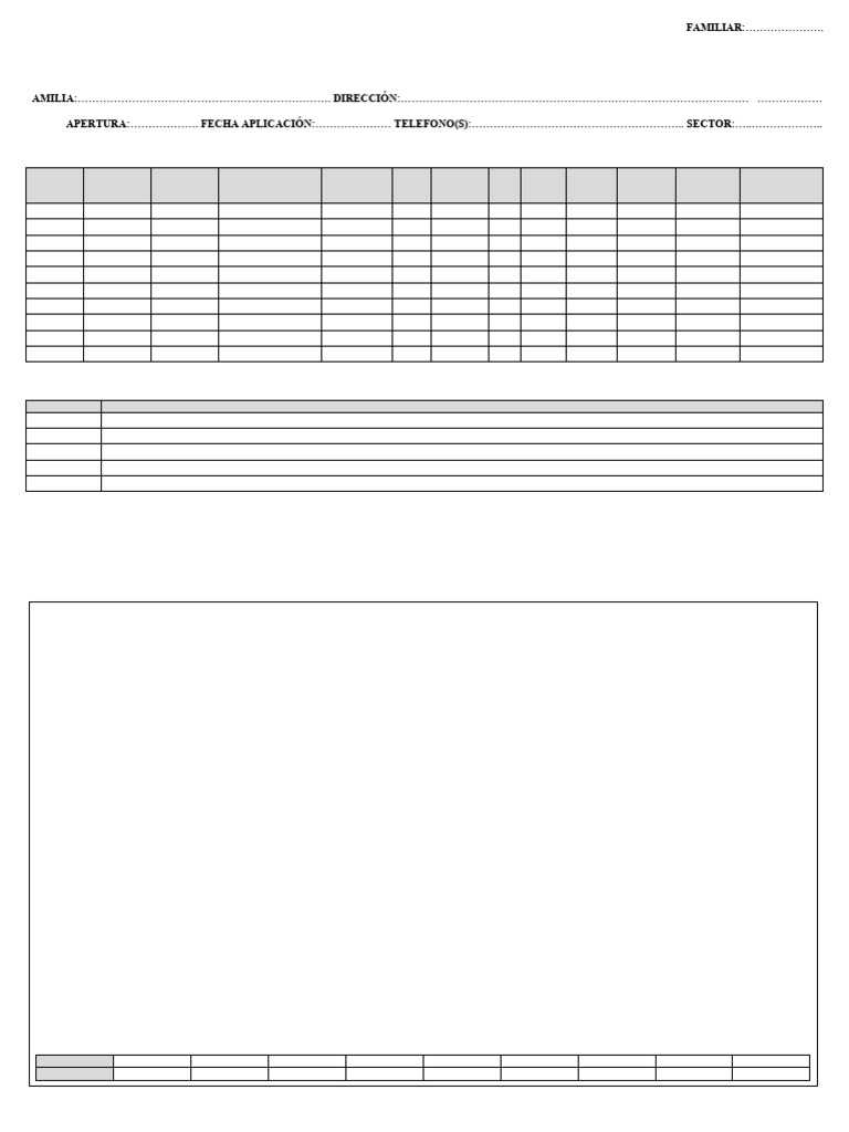 2.4.1- Cartola Familiar | PDF