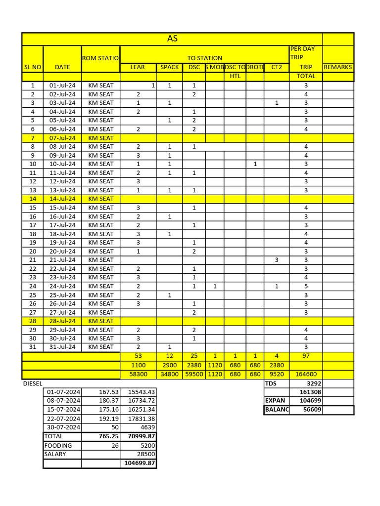Daily Trip Summary and Expenses Report | PDF