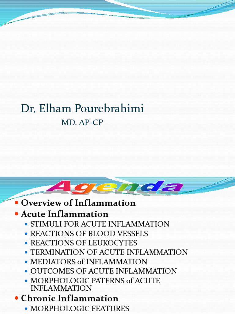Acute and Chronic Inflammation Overview | PDF