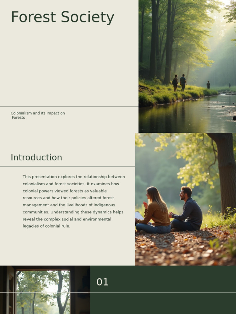 Forest Society 2 | PDF | Forests | Earth Sciences