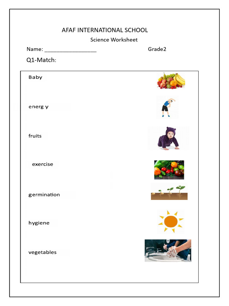 Science Grade 2 New | PDF