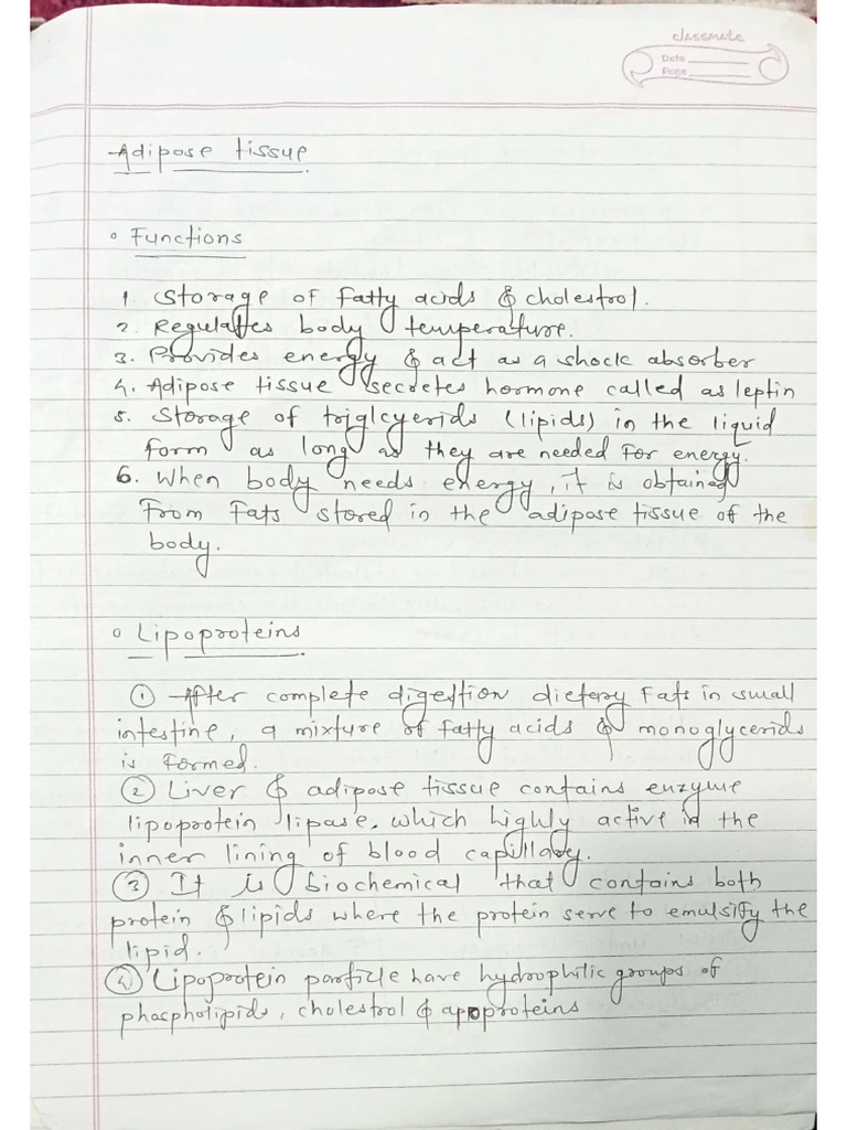 Adipose Tissue.by Ritesh.raj.Dhiwar | PDF