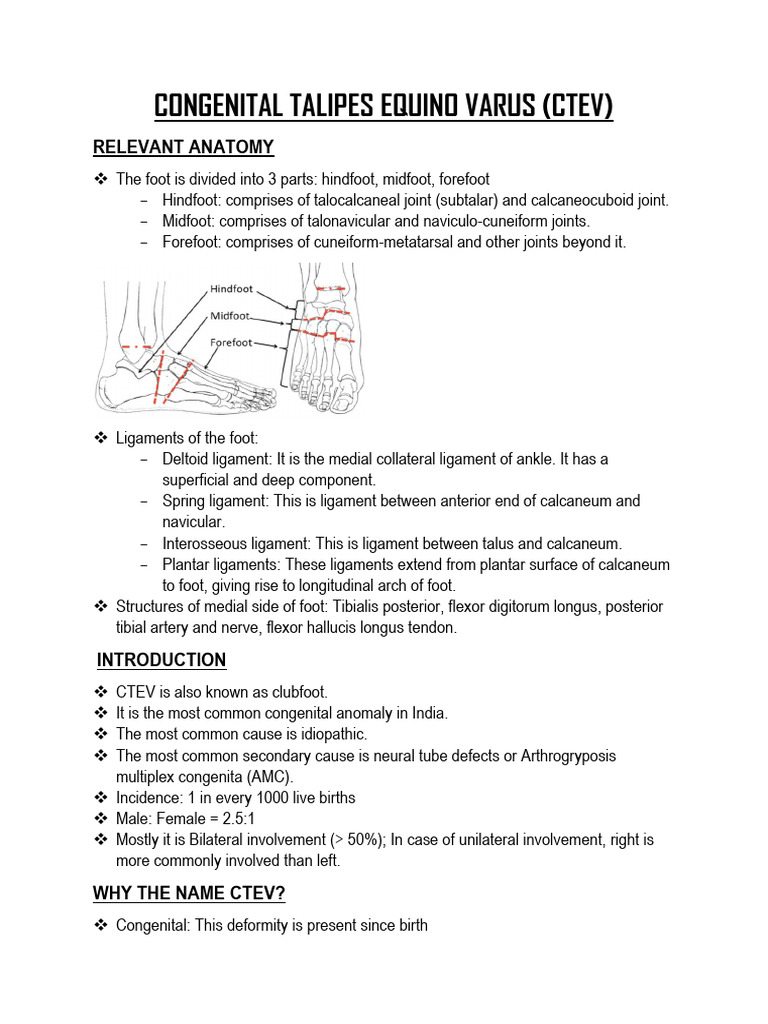 Congenital Talipes Equino Varus | PDF | Foot | Ankle