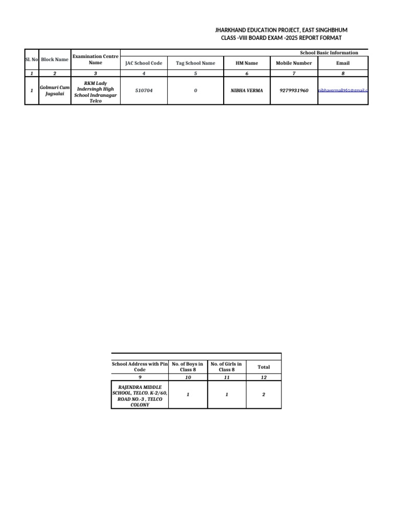 Class 8 Board Exam-2025 Report Format (2) | PDF