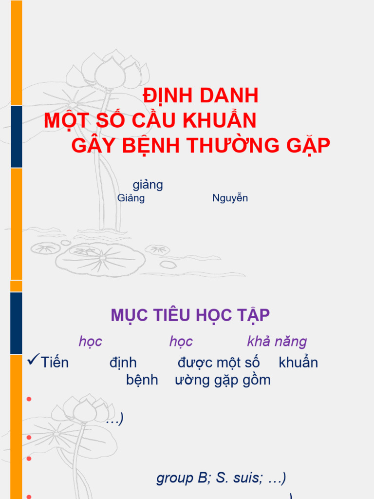 ĐỊNH DANH VKGB-CK-VSBM | PDF