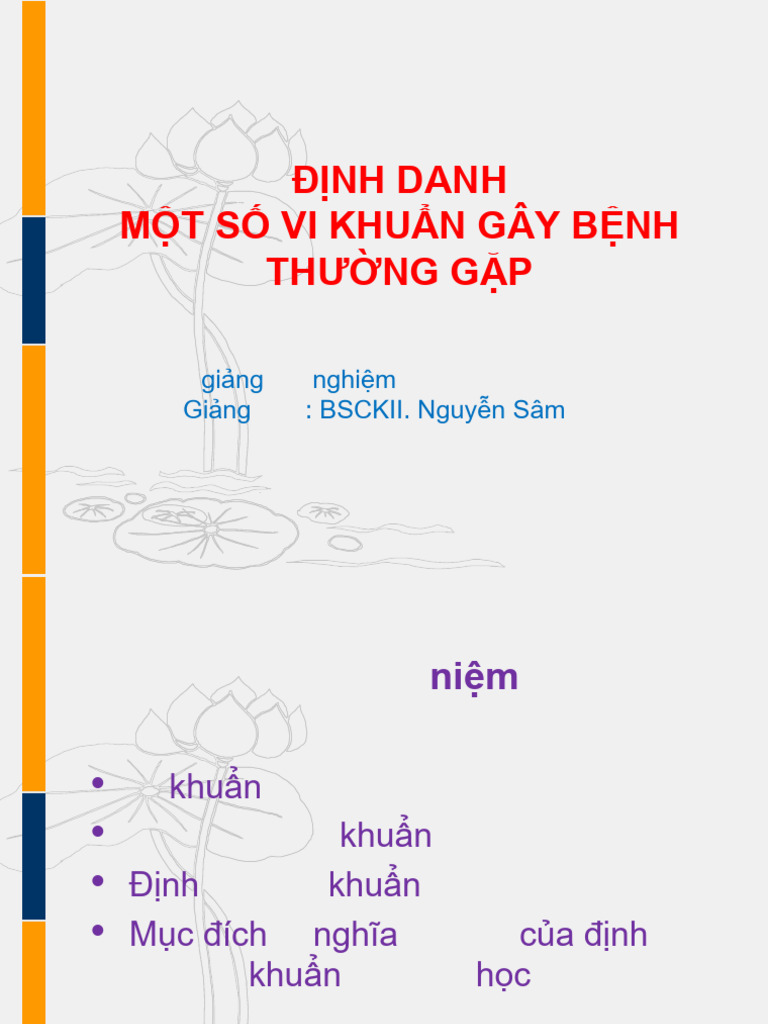 ĐỊNH DANH VKGB -E-THƯỜNG GẶP. VSBM | PDF