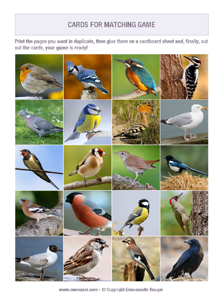 Printable Memory Game Birds | PDF