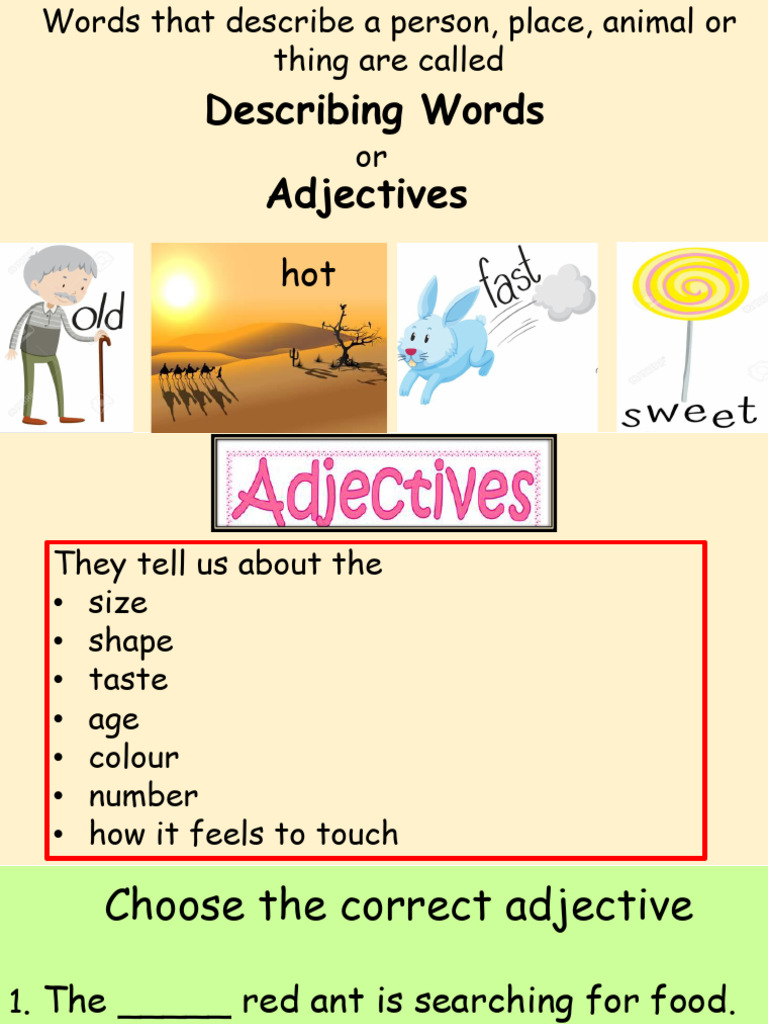 Understanding Adjectives and Descriptions | PDF
