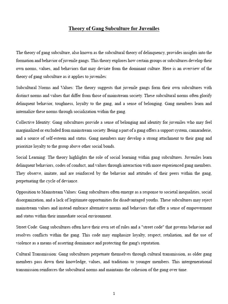 Juvenile Gang Subculture Theory Explained | PDF | Gang | Value (Ethics)