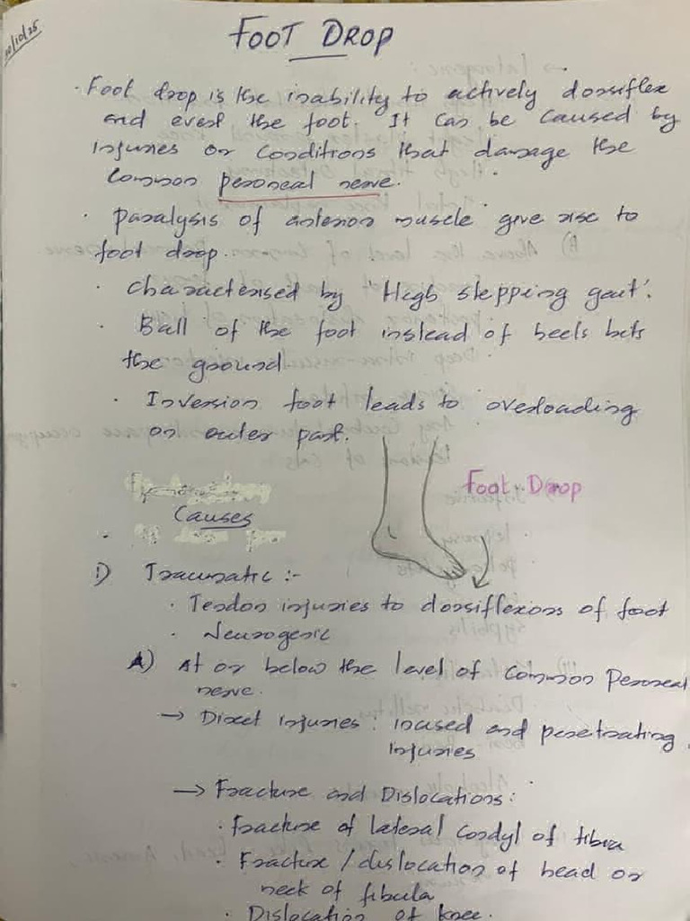 Foot Drop | PDF