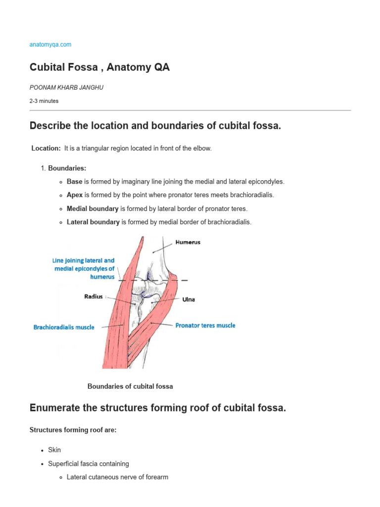 Cubital Fossa , Anatomy QA __ Reader View-1 | PDF