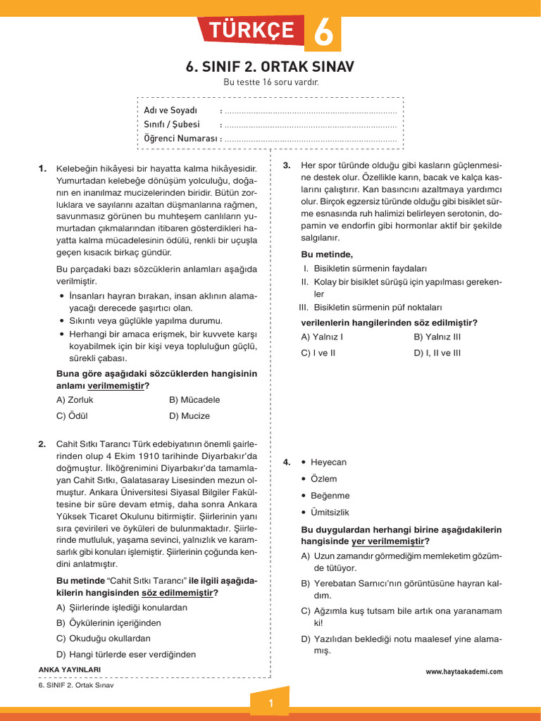 Sinif 1. Dönem 2. Ortak Sinavi (Anka) (Ortak Akil) | PDF