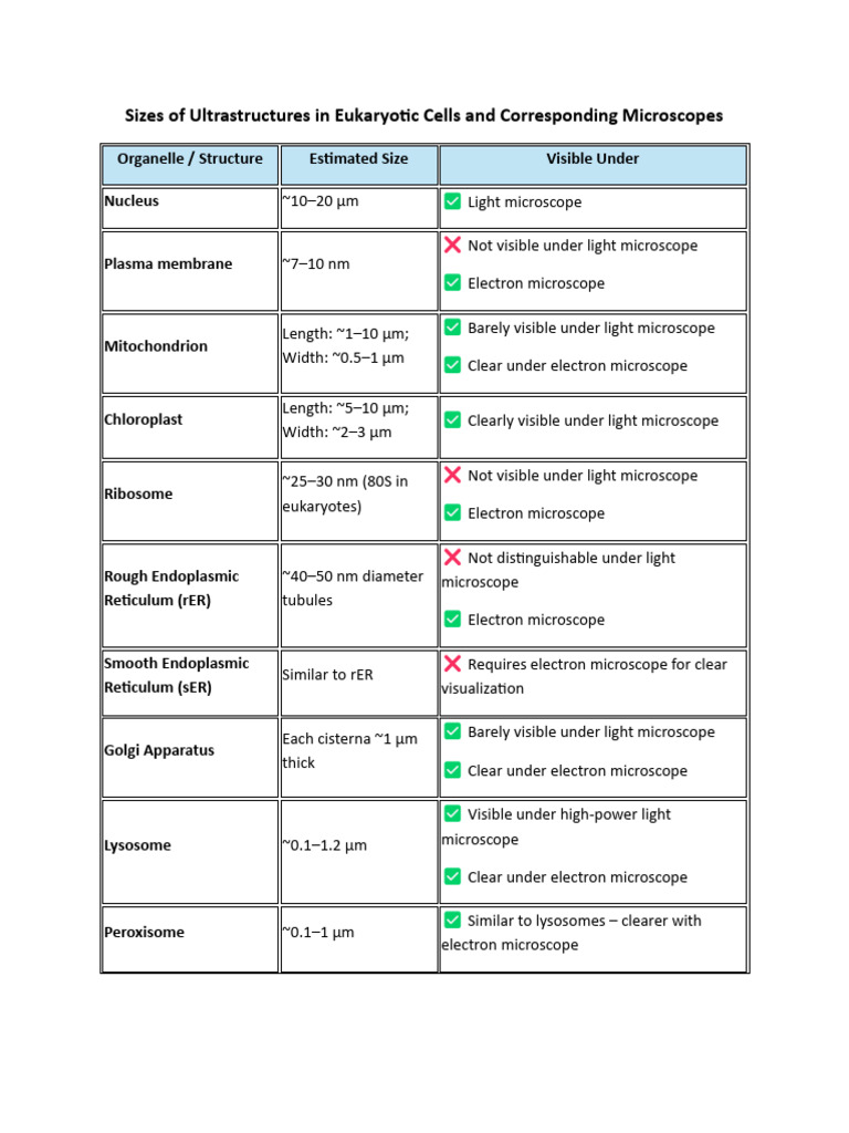 Sizes of Ultrastructures in Eukaryotic Cells and Corresponding ...