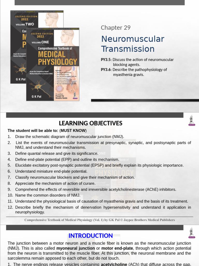 Neuromuscular Junction Mechanisms Explained | PDF | Neuromuscular ...