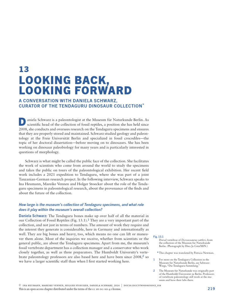 Looking Back, Looking Forward | PDF | Dinosaurs | Paleontology