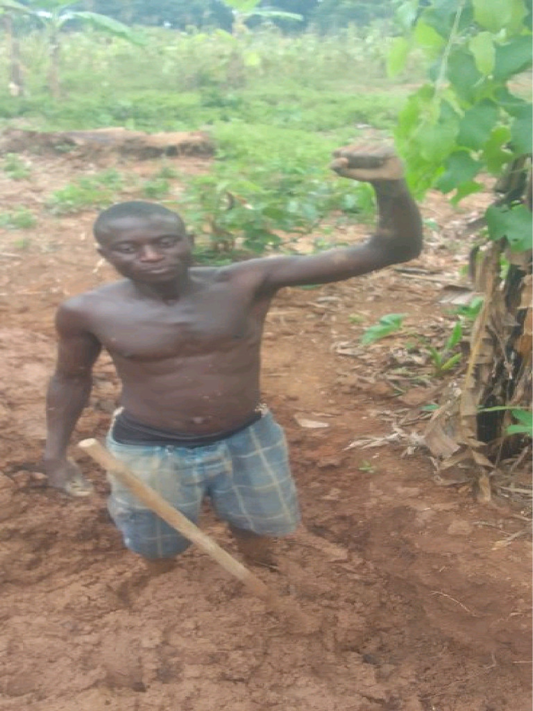 PDF_Phoenix_20250804_135423 | PDF